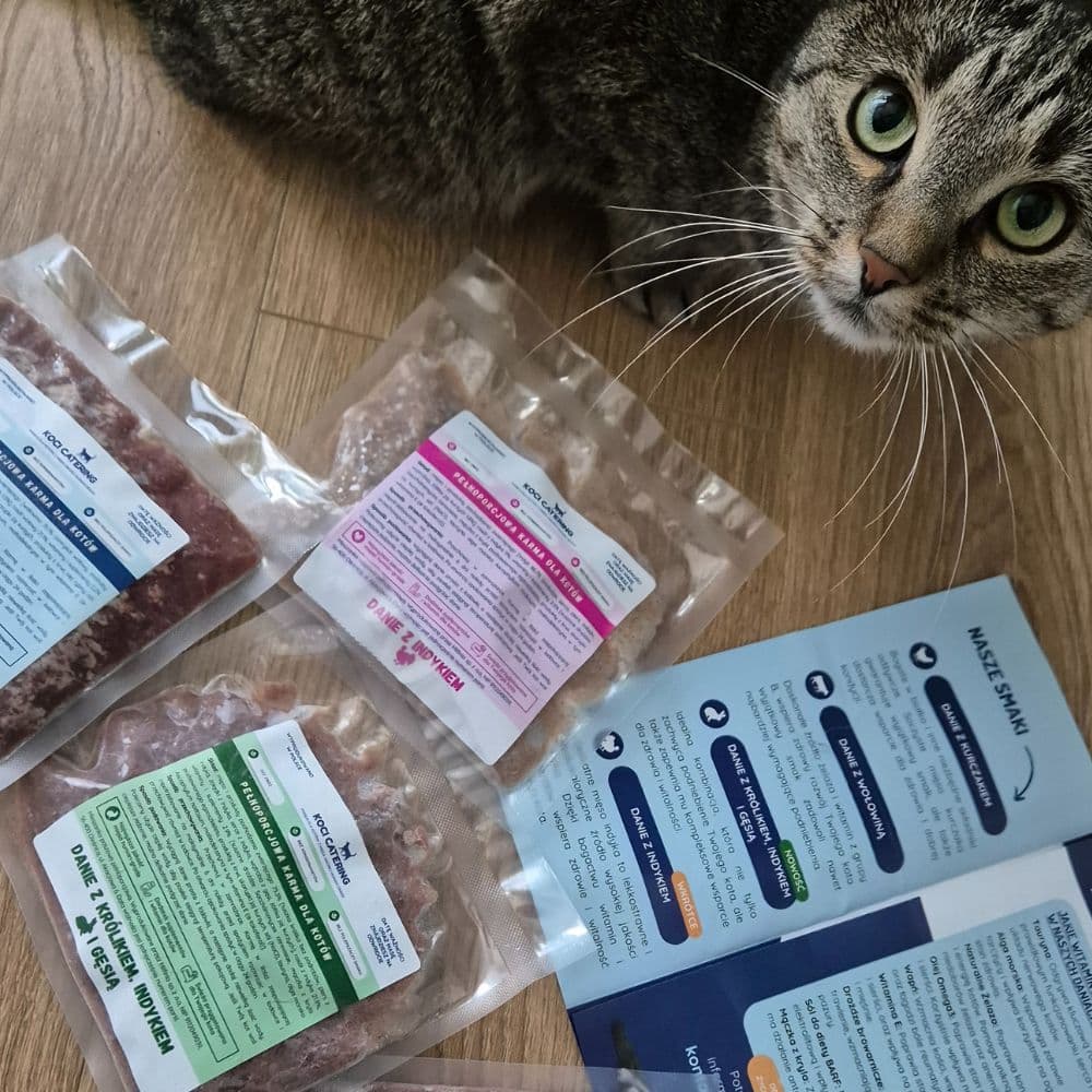 Koci Catering | Świeże i zdrowe posiłki dla kotów z mięsa jakości human ...