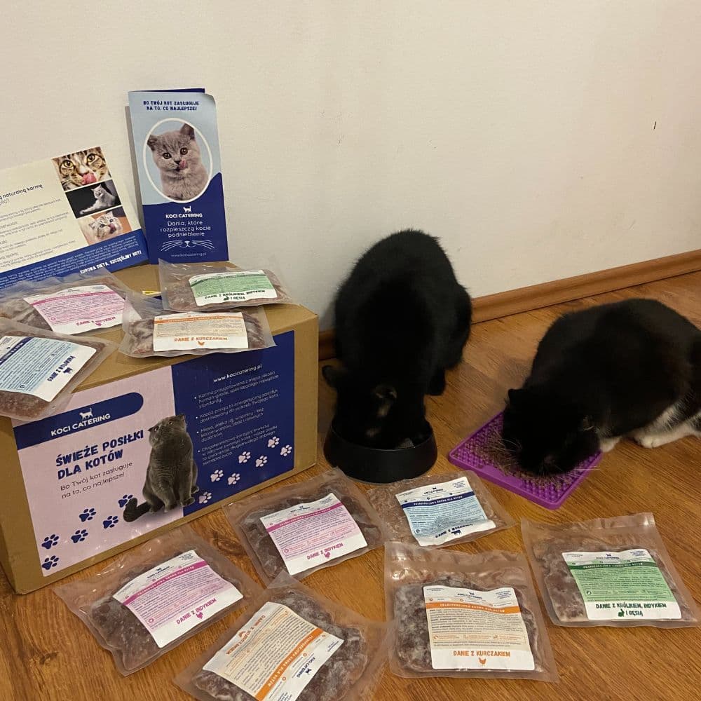 Koci Catering | Świeże i zdrowe posiłki dla kotów z mięsa jakości human ...